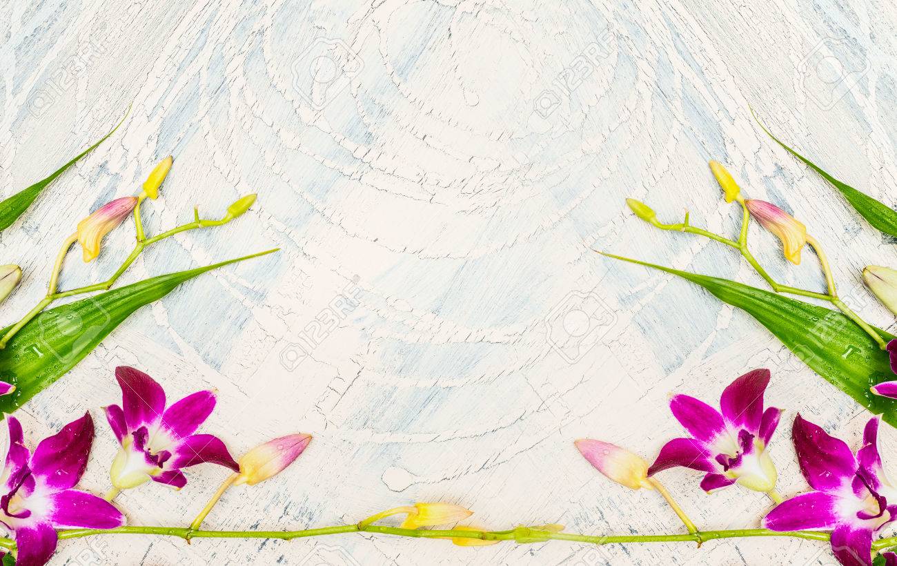 [41+] Florist Background on WallpaperSafari