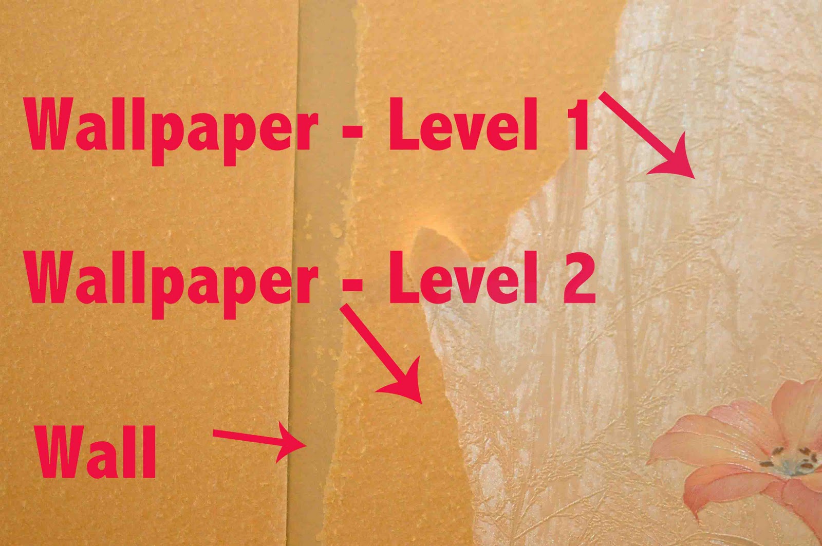 Free Download Best Way To Remove Wallpaper 1600x1063 For Your Desktop Free Download Best Way To Remove Wallpaper 1600x1063 For Your Desktop