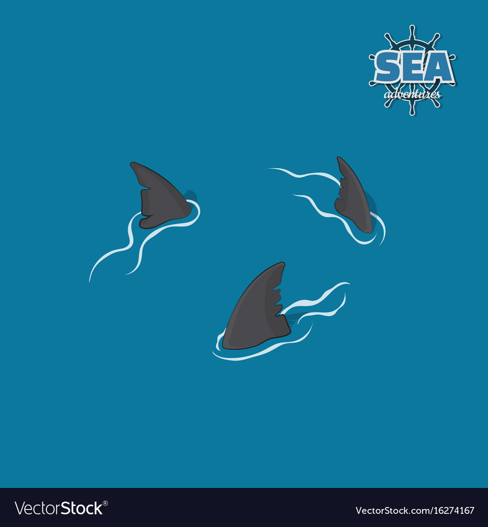 Free download Shark Fin Background [900x900] for your Desktop, Mobile ...