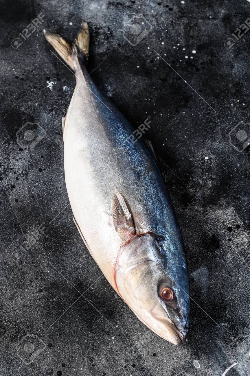 🔥 [32+] Amberjack Background | WallpaperSafari