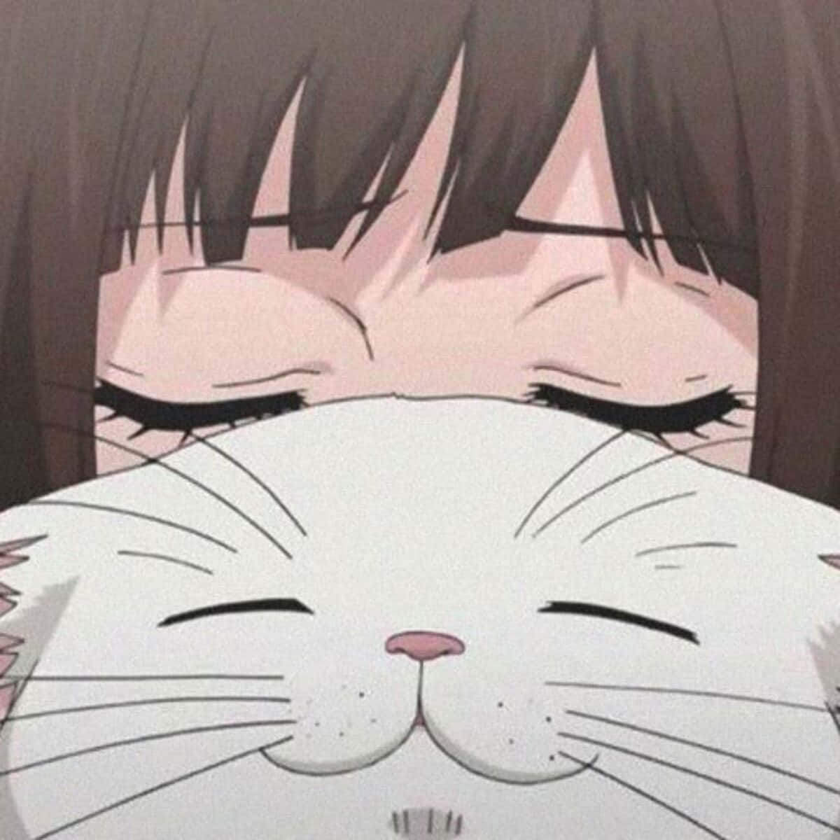 🔥 Free Download Cute Anime Girl Pfp Wallpaper by @josev | WallpaperSafari