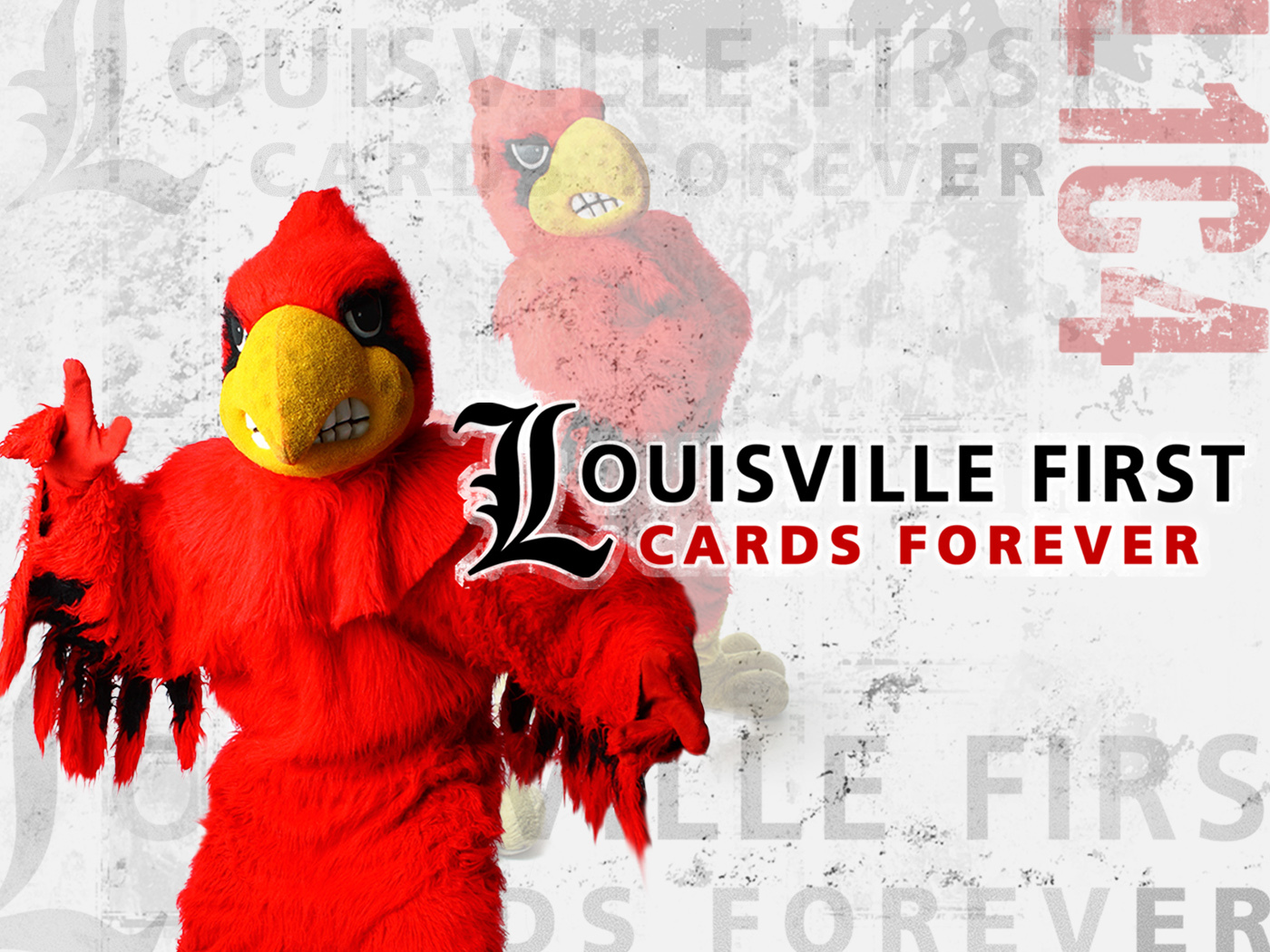 🔥 [50+] Louisville Cards Basketball Wallpapers | WallpaperSafari