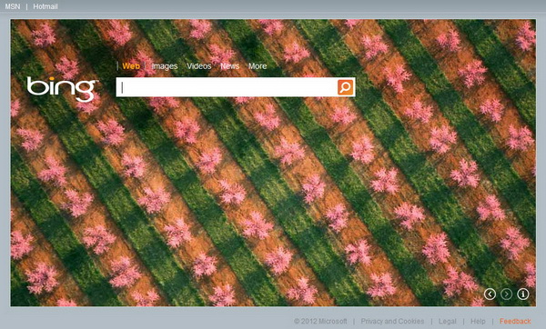 [50+] Bing Live Wallpapers on WallpaperSafari
