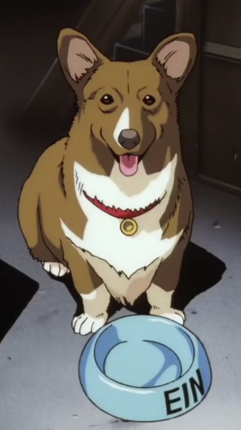 🔥 Free Download Ein Einthedog Corgi Cowboy Bebop Anime by @dawnc44 ...