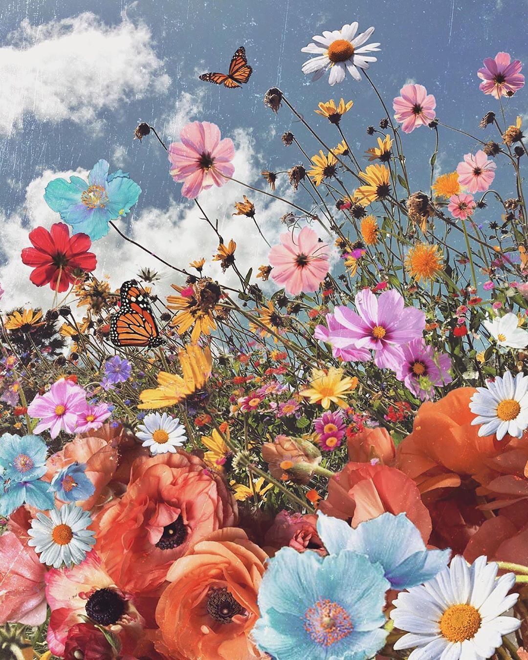 🔥 Free Download Colorful Aesthetic Wallpaper by @jvance4 | WallpaperSafari