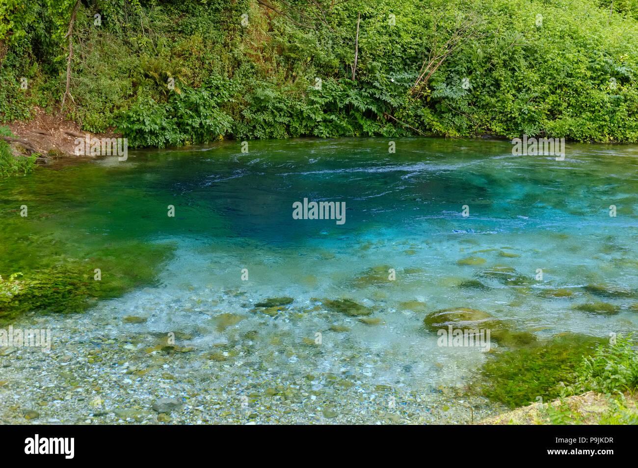 [29+] Spring Blue Eye Wallpapers | WallpaperSafari