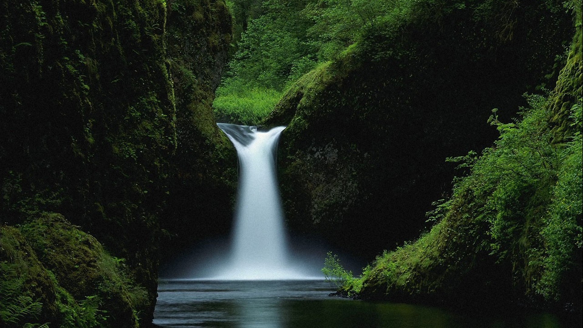 🔥 Free Download Discover In The Forest Stillwater Waterfall Image by ...