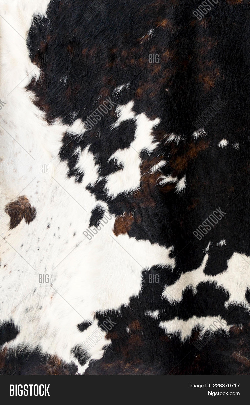 Free download Foapcom Cowhide western background stock photo by ...