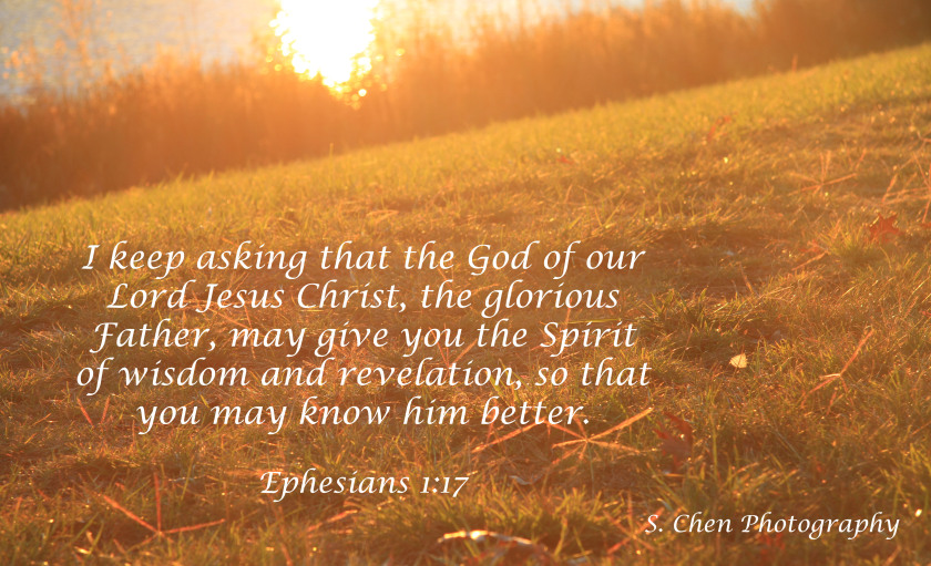 🔥 [50+] Fall Wallpapers with Scripture Verses | WallpaperSafari