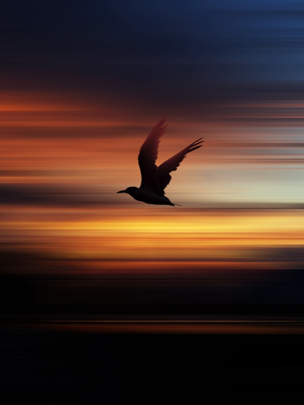 🔥 Free Download Birds Sunset Pictures Image by @juanjohnson ...