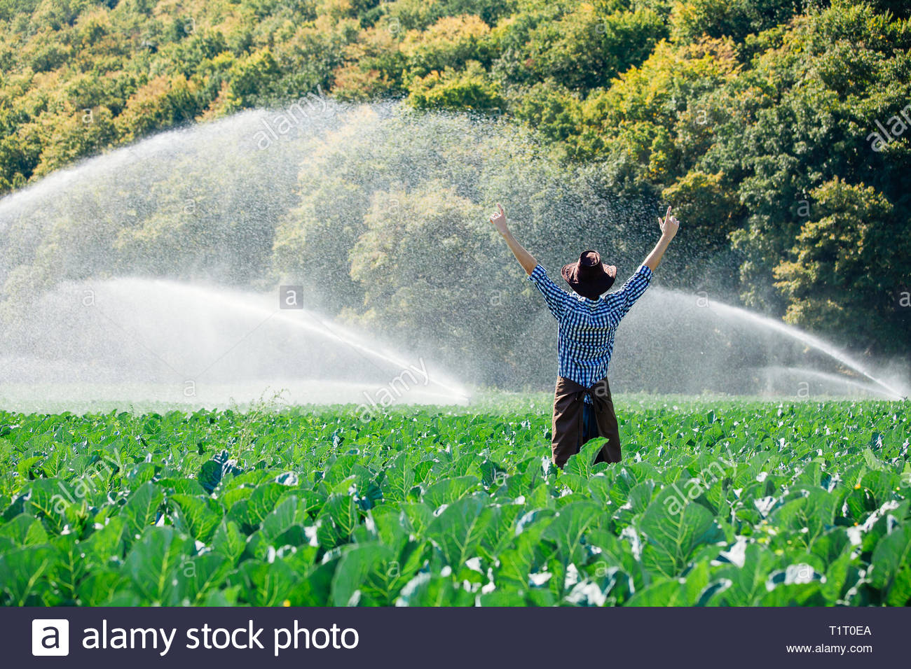 [42+] Sprinkler Background on WallpaperSafari