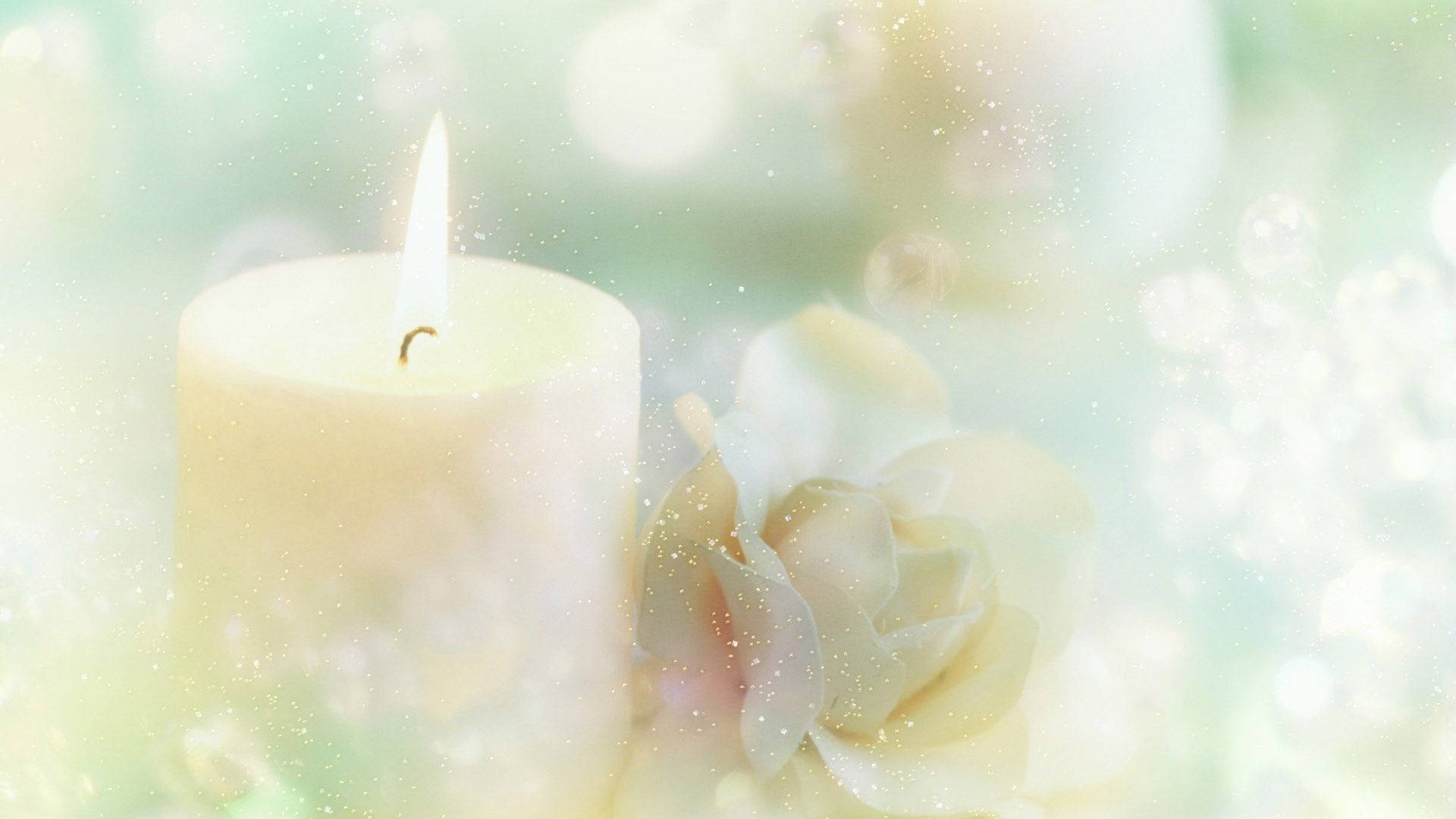 🔥 Free Download Candle With Pure White Flower Wallpaper by ...