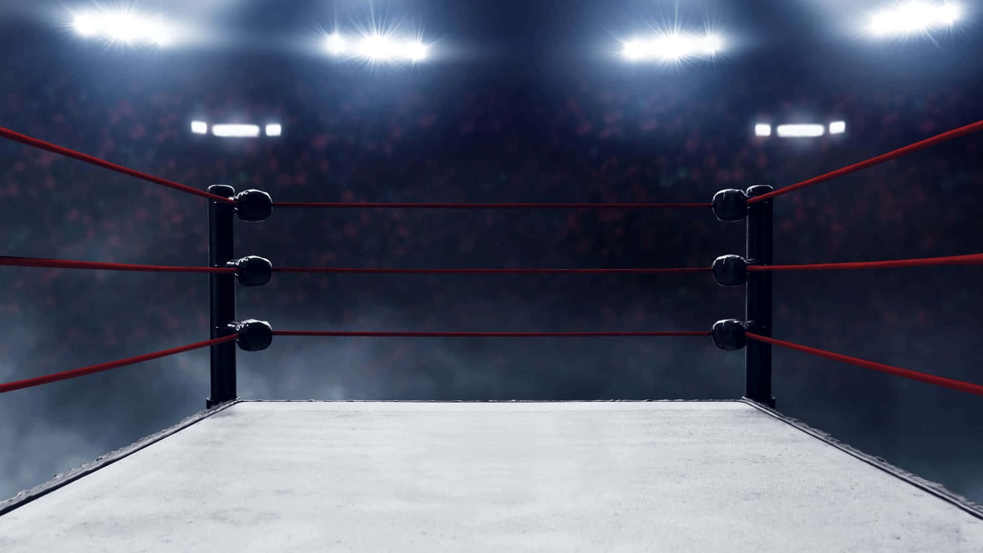 🔥 [60+] Wrestling 4k Wallpapers | WallpaperSafari