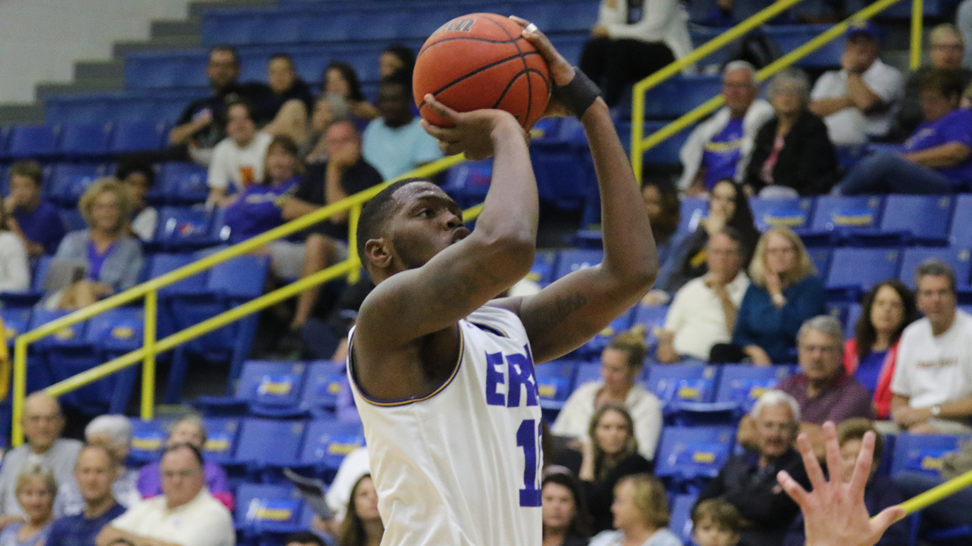 🔥 [50+] Nashad Wallpapers | WallpaperSafari