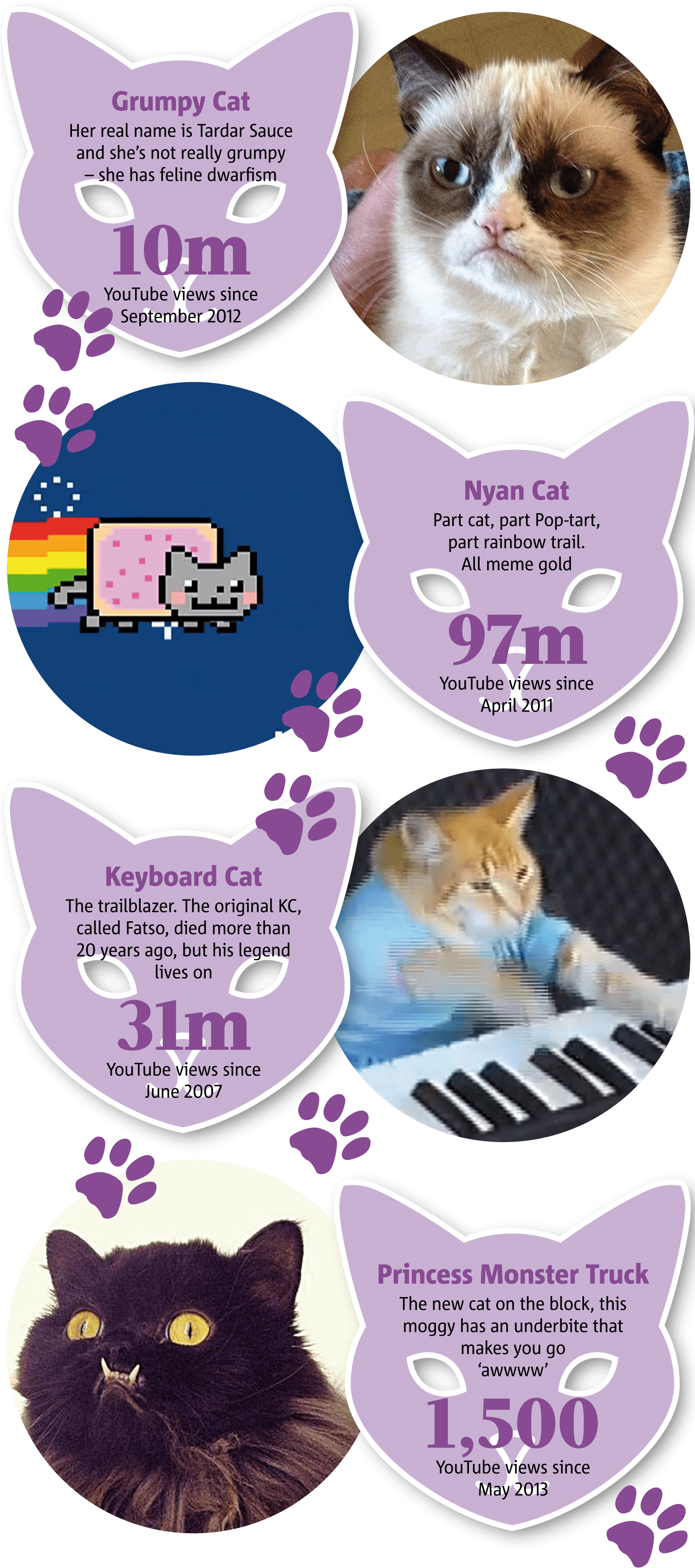 🔥 Free Download Famous Internet Cats Meme Infographic Wallpaper by ...