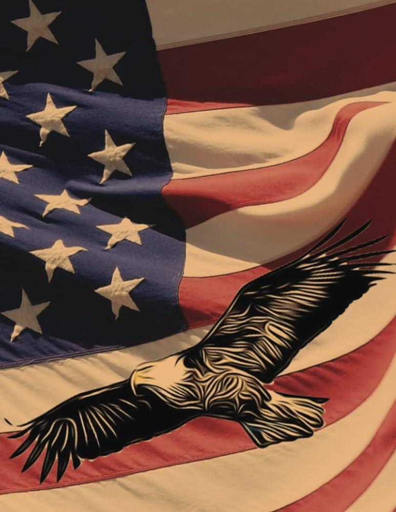 🔥 [40+] USA Eagle Wallpapers | WallpaperSafari