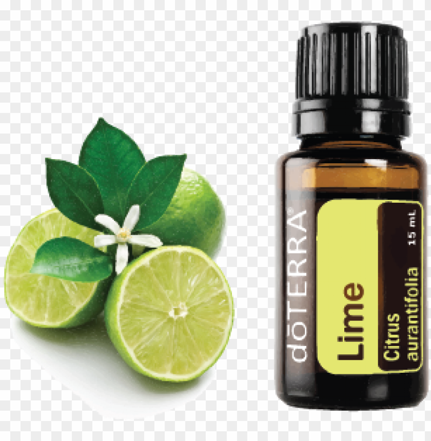 🔥 Free Download Doterra Essential Oils Lime 15ml Png Image With ...