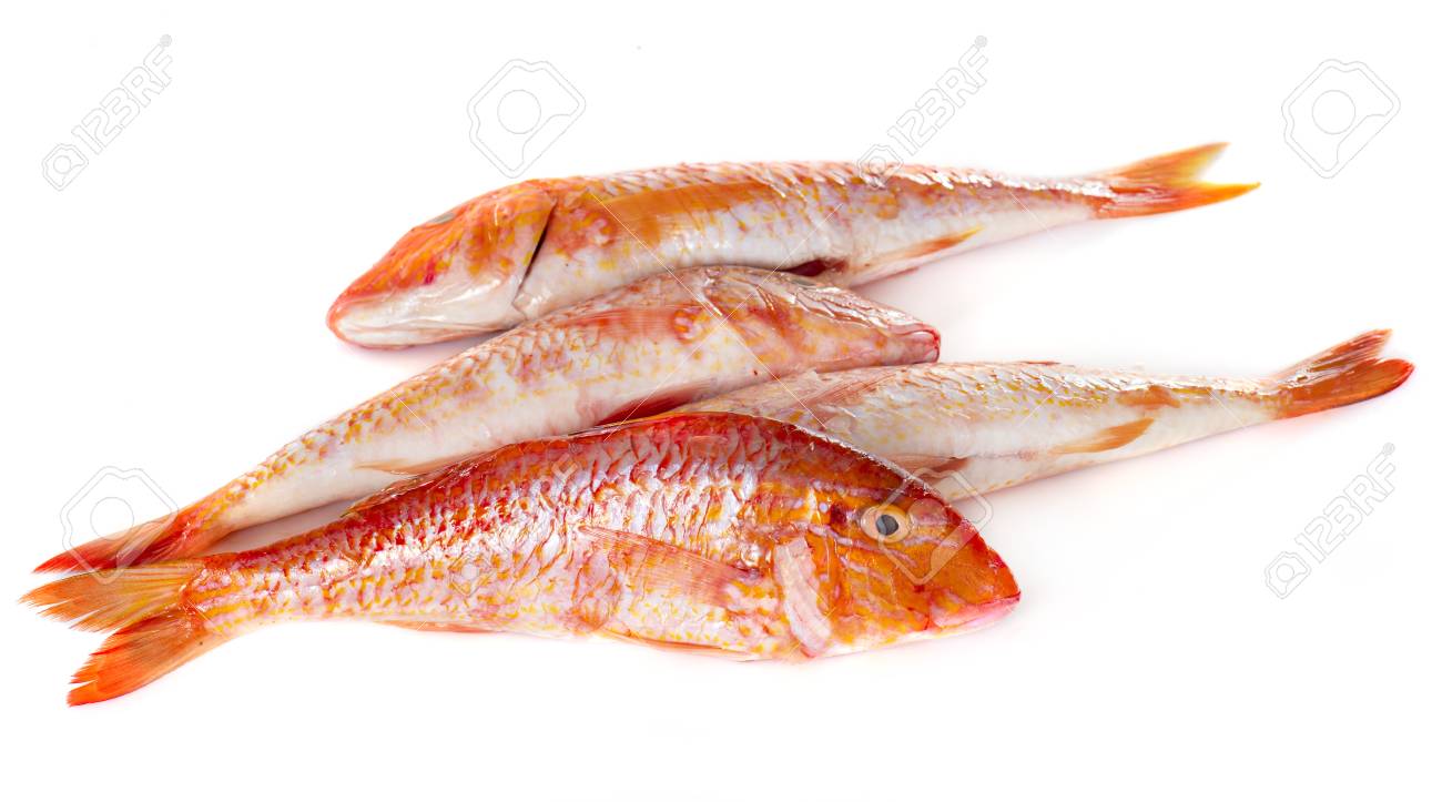 🔥 [40+] Mullet Background | WallpaperSafari