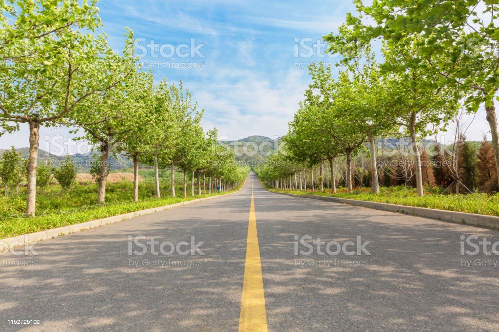 🔥 [17+] Outdoor Street Wallpapers | WallpaperSafari