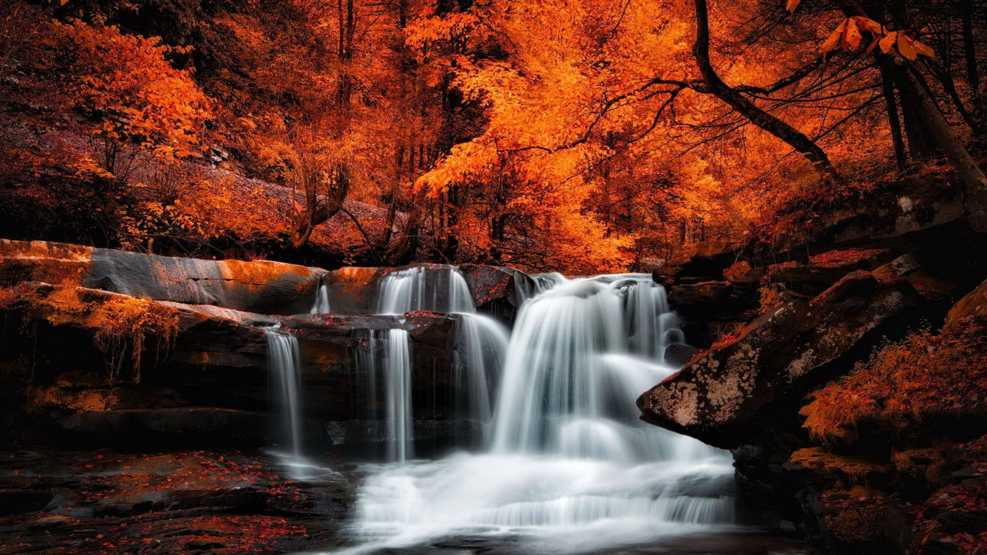 🔥 Free Download Fall Beautiful Hd Desktop Wallpaper 4k Image by ...