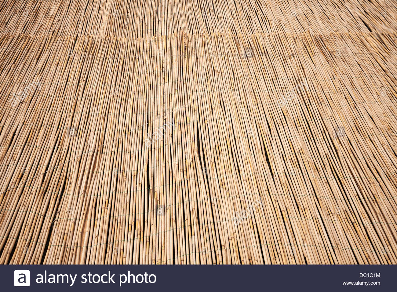 🔥 [52+] Thatch Background | WallpaperSafari