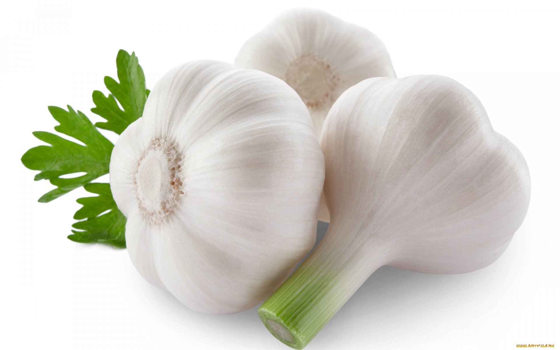 🔥 Free Download Garlic Background Image All White by @donaldmeyer ...