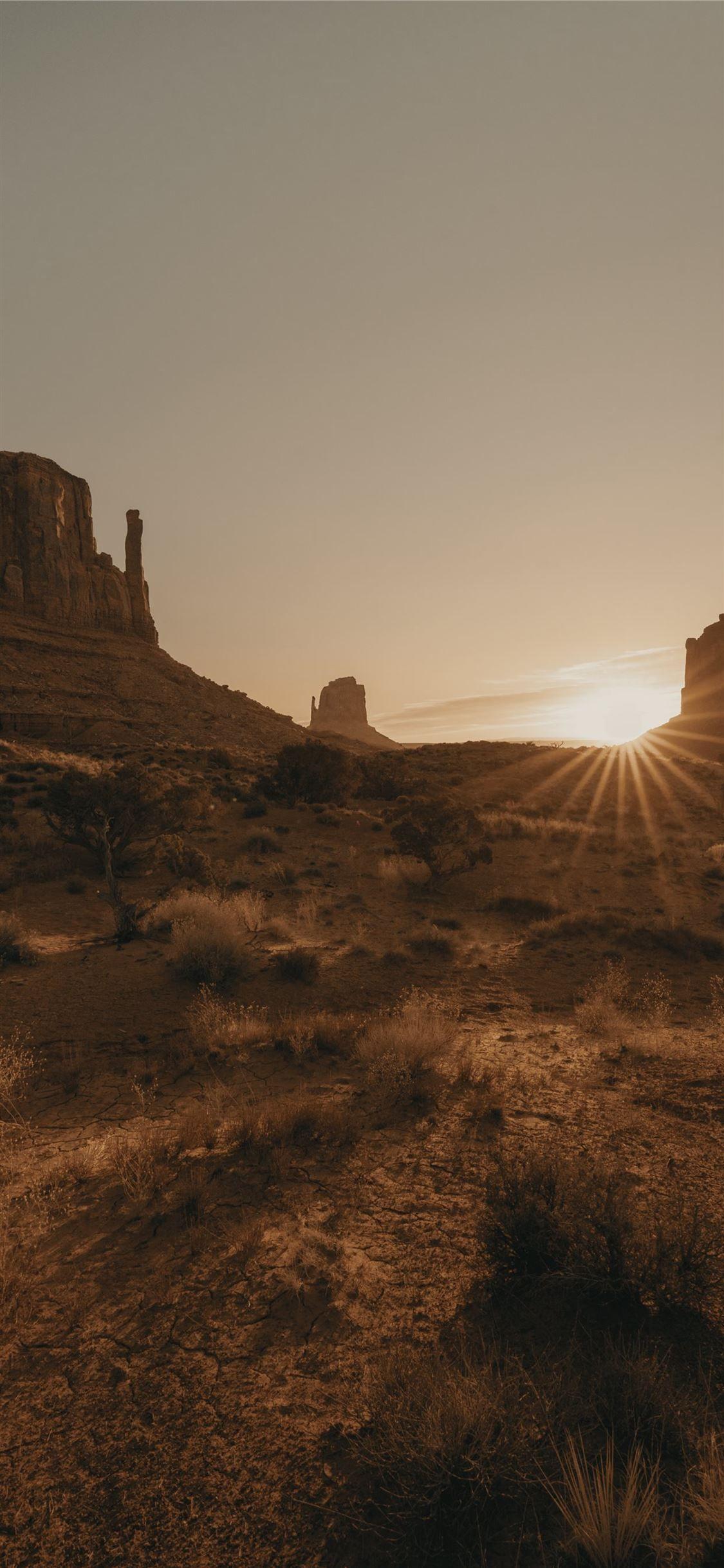 🔥 [40+] Brown Landscape Wallpapers | WallpaperSafari