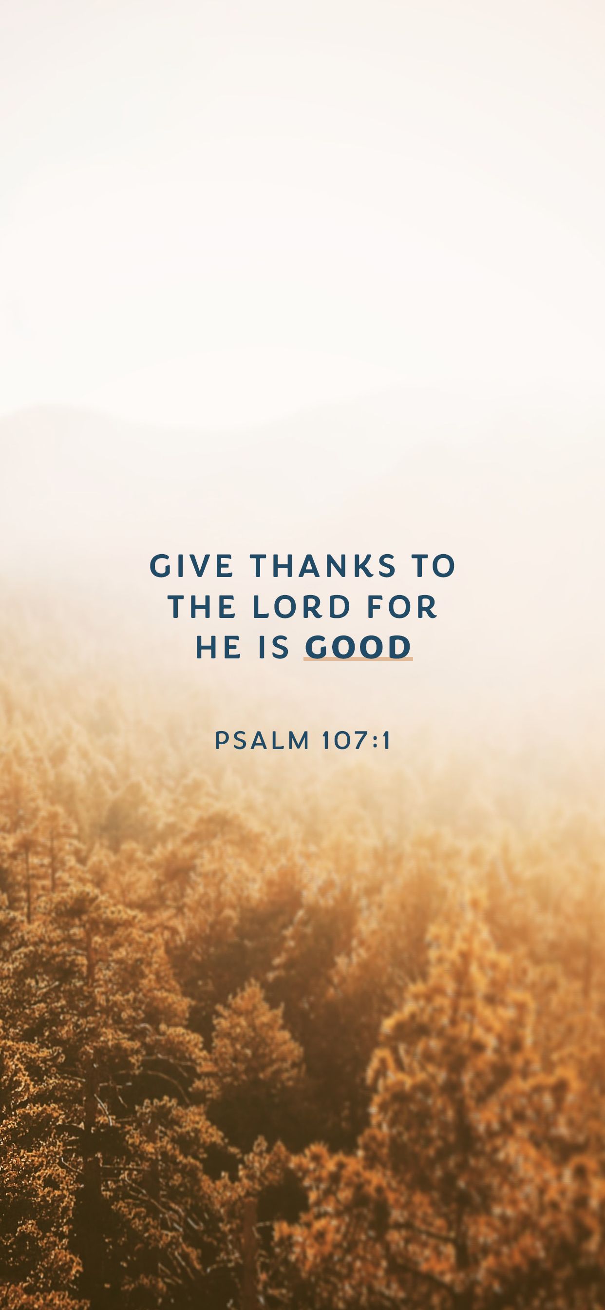 🔥 [50+] Aesthetic Bible Verse Wallpapers | WallpaperSafari