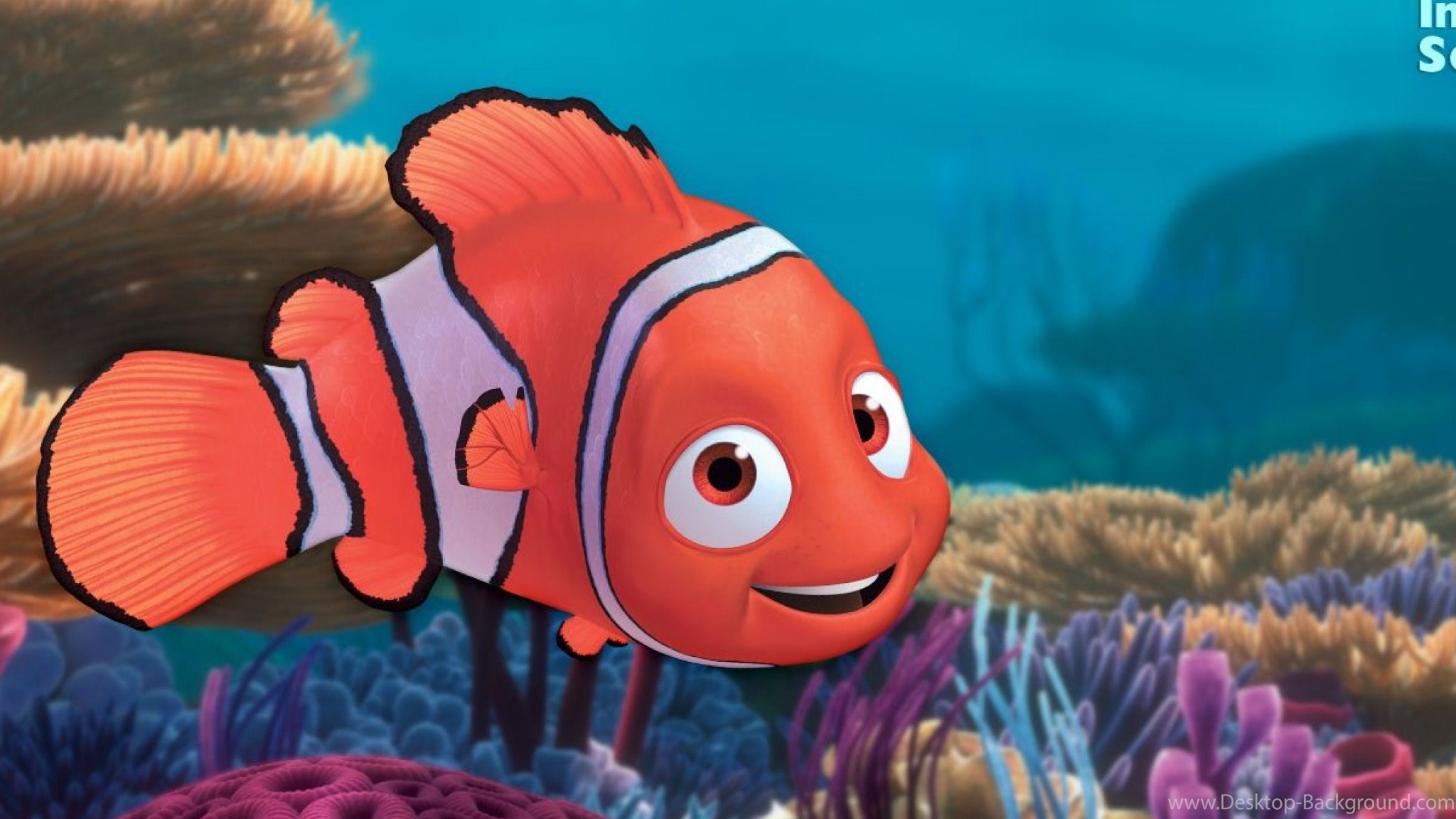 🔥 [70+] Finding Nemo Wallpapers | WallpaperSafari