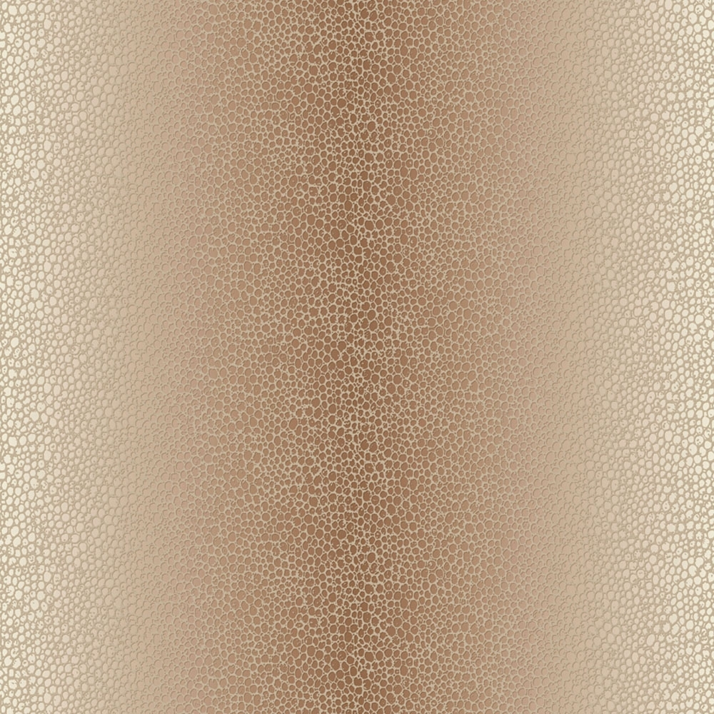 🔥 [30+] Eldora Wallpapers | WallpaperSafari