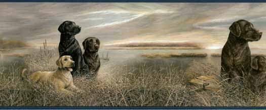 Labrador Retriever Wallpaper Border