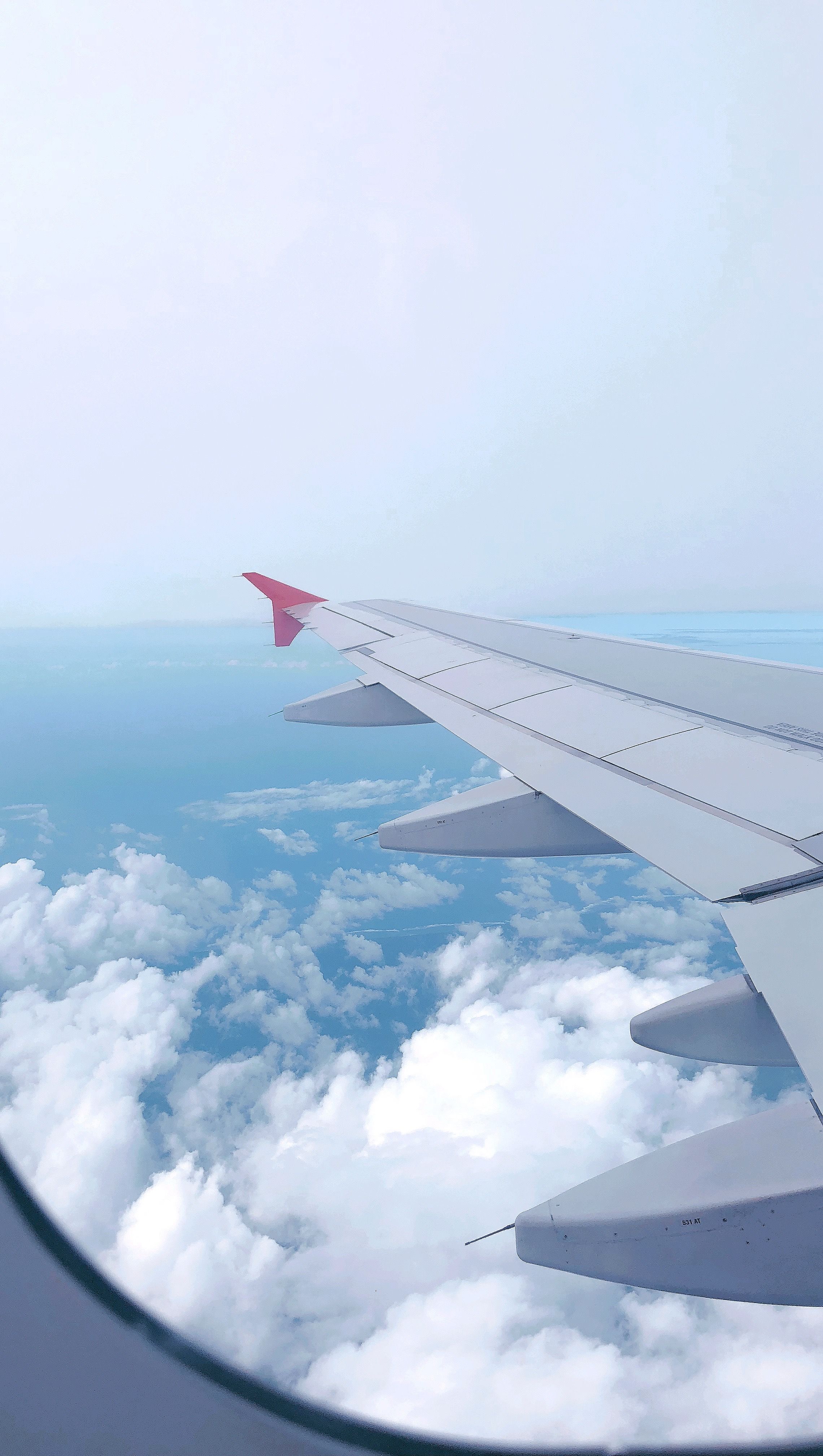 🔥 Free Download Airasia by @trogers64 | WallpaperSafari