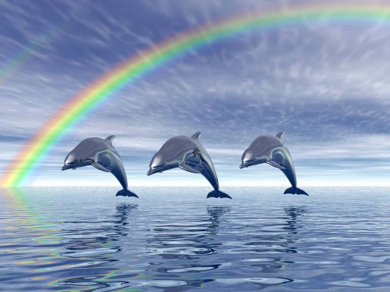 🔥 Free Download Cute Dolphin Digital Picture Wallpaper by @patricky ...