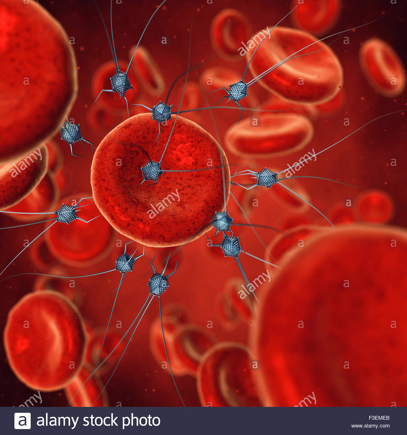 🔥 Free download Wallpaper macro joke scifi blender3d 3dart nanobot ...