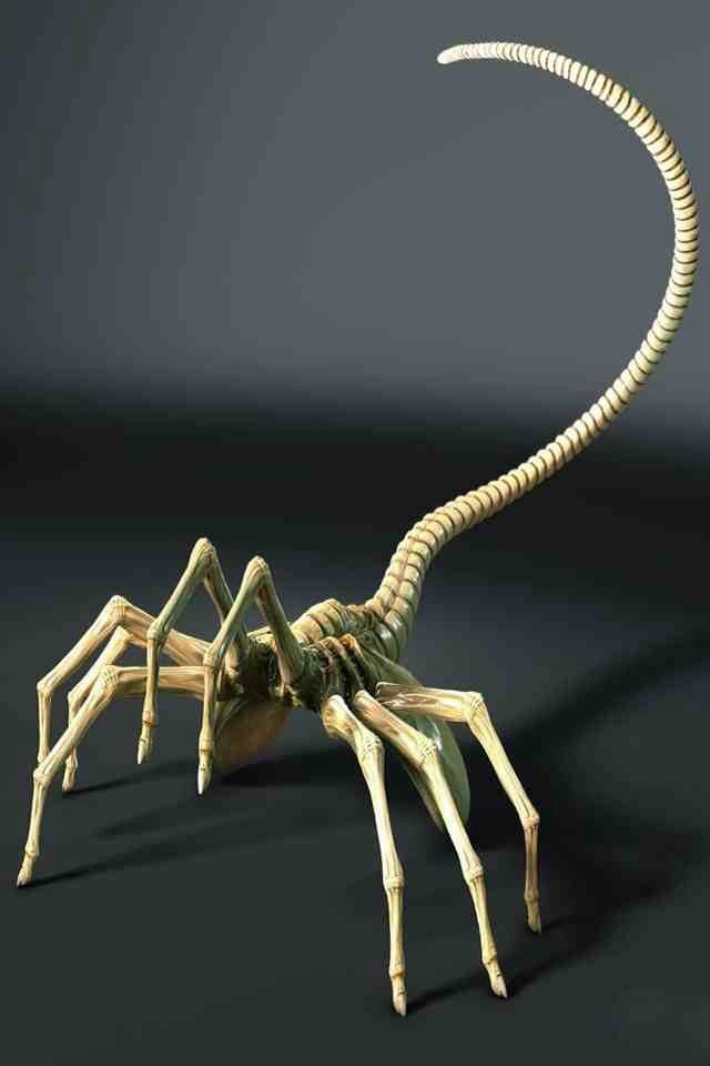 🔥 Free Download Face Hugger Alien Wallpaper Background Hd by @shawnc ...