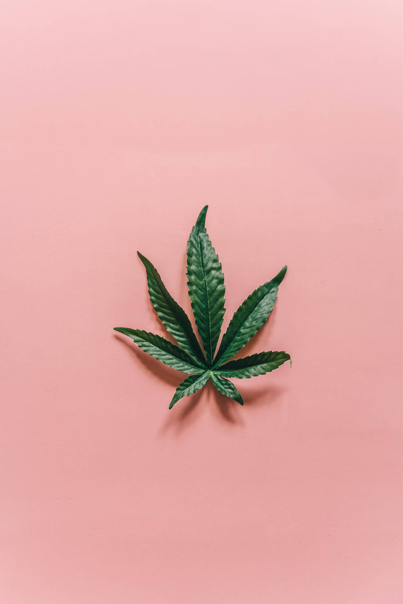 🔥 [40+] Cool Weed Wallpapers | WallpaperSafari
