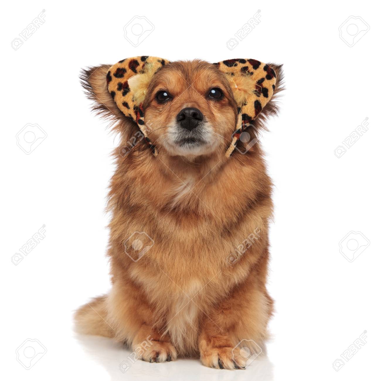 [26+] Metis Background on WallpaperSafari