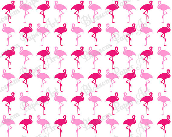 [46+] Vintage Pink Flamingo Wallpaper on WallpaperSafari