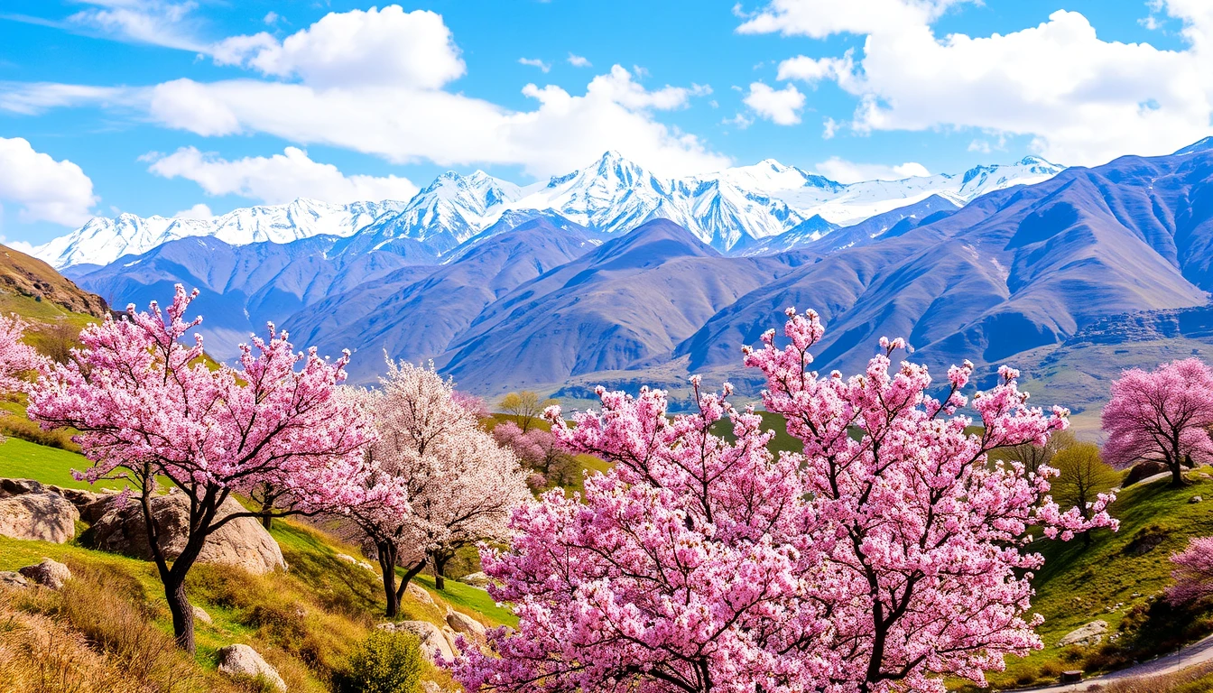 🔥 Download Pakistan Wallpaper by @kareng96 on WallpaperSafari