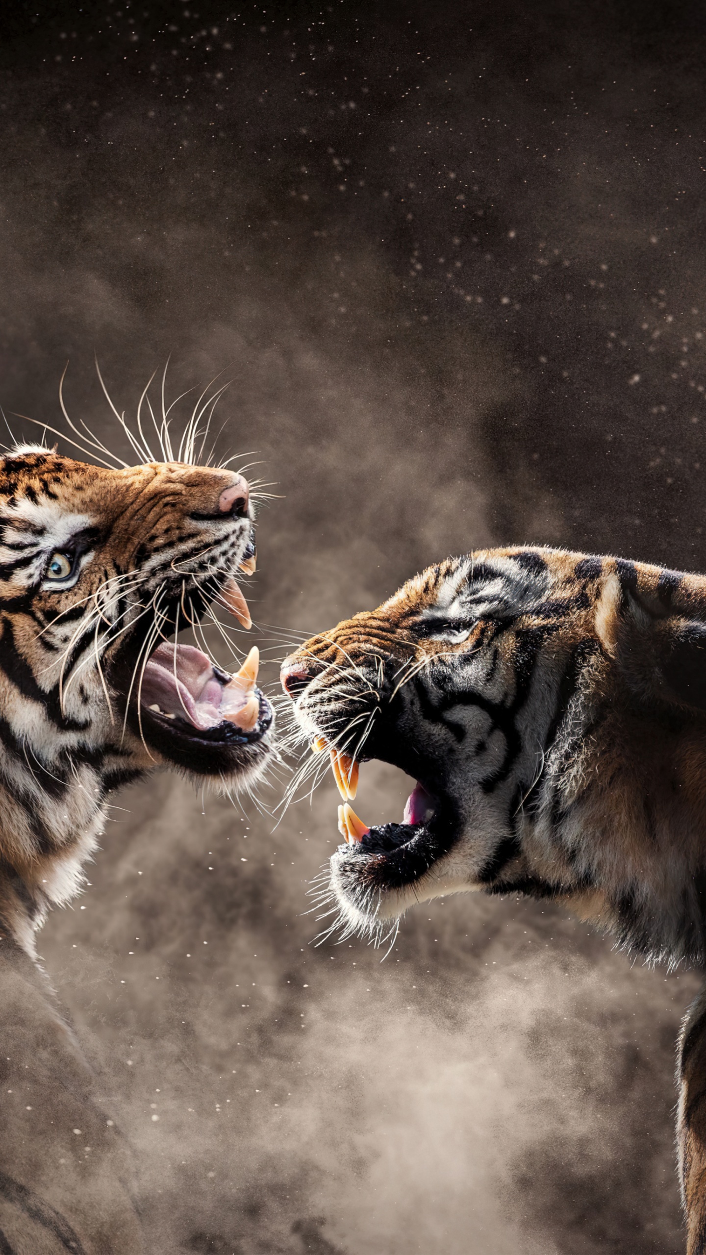 🔥 Free Download Cool Tiger Background Wallpaper by @kimc | WallpaperSafari