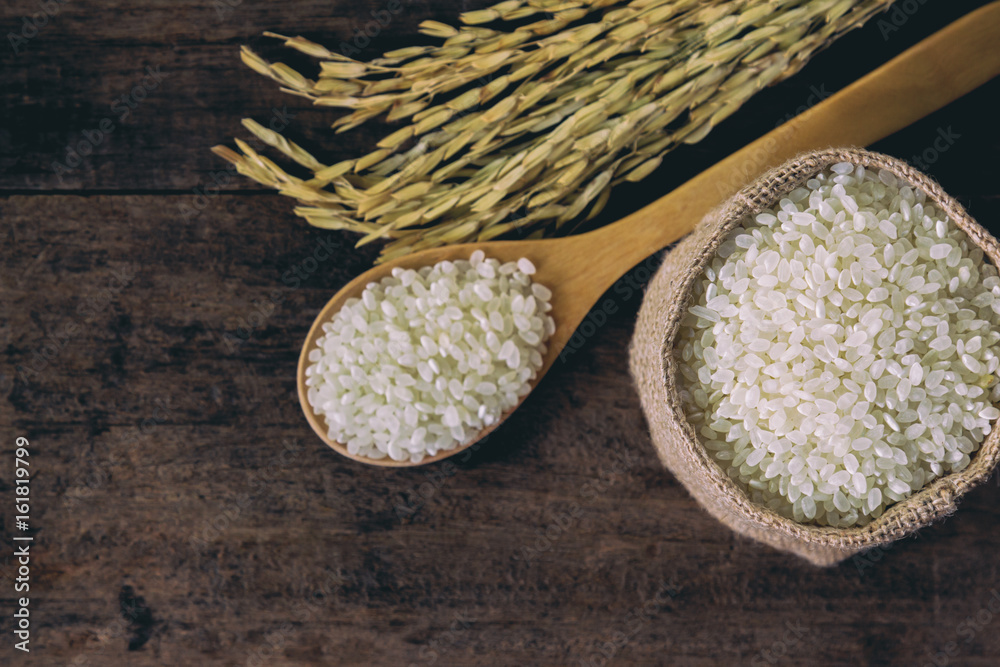 [17+] Indian Rice Wallpapers - WallpaperSafari