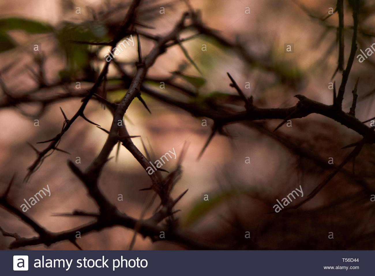 🔥 [35+] Intimidating Background | WallpaperSafari