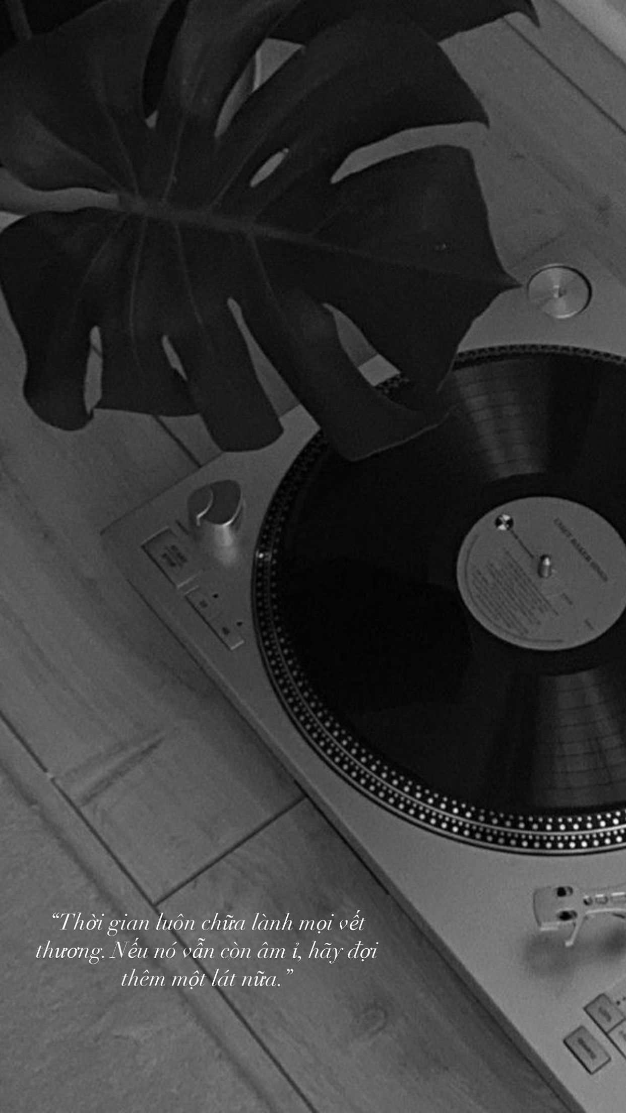 🔥 Free Download Pin Op Cho Nh Ng Y T M Tr Wallpaper by @asmith95 | WallpaperSafari