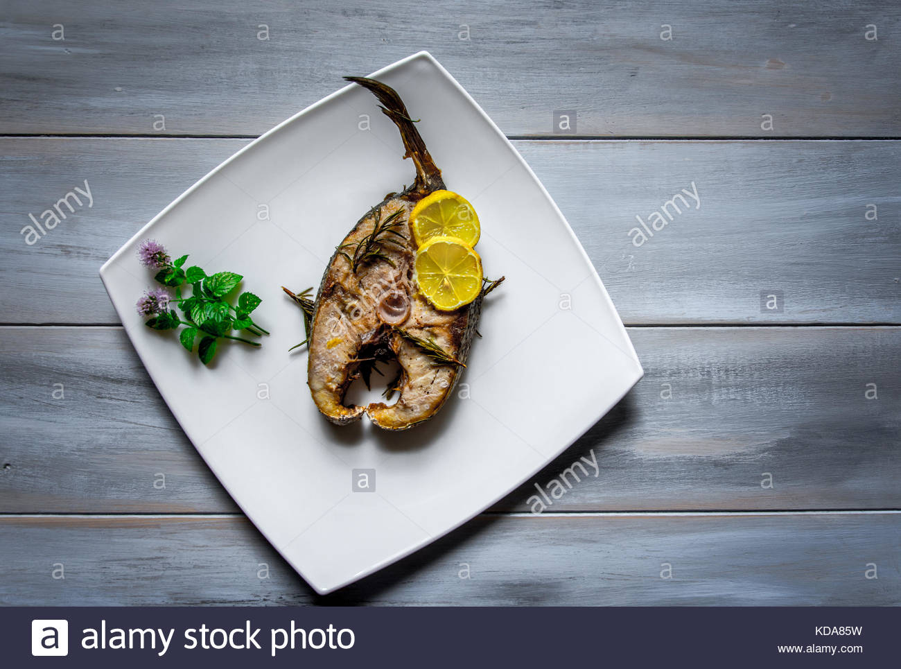 🔥 [32+] Amberjack Background | WallpaperSafari