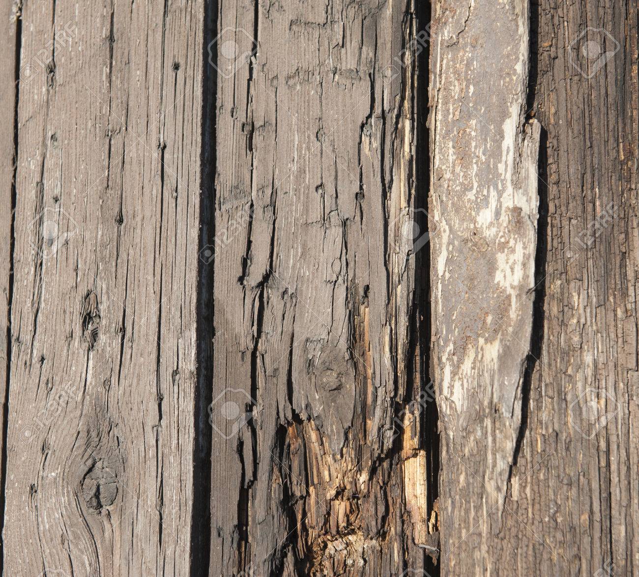 [28+] Rotting Wallpaper on WallpaperSafari