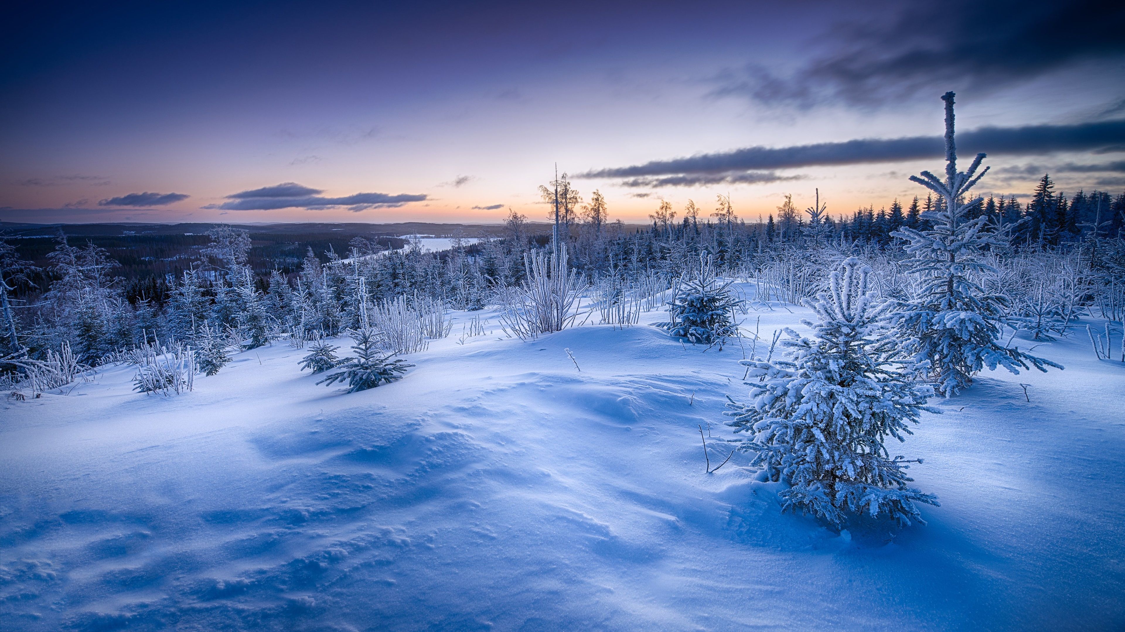 🔥 [40+] Snow 4k Wallpapers | WallpaperSafari