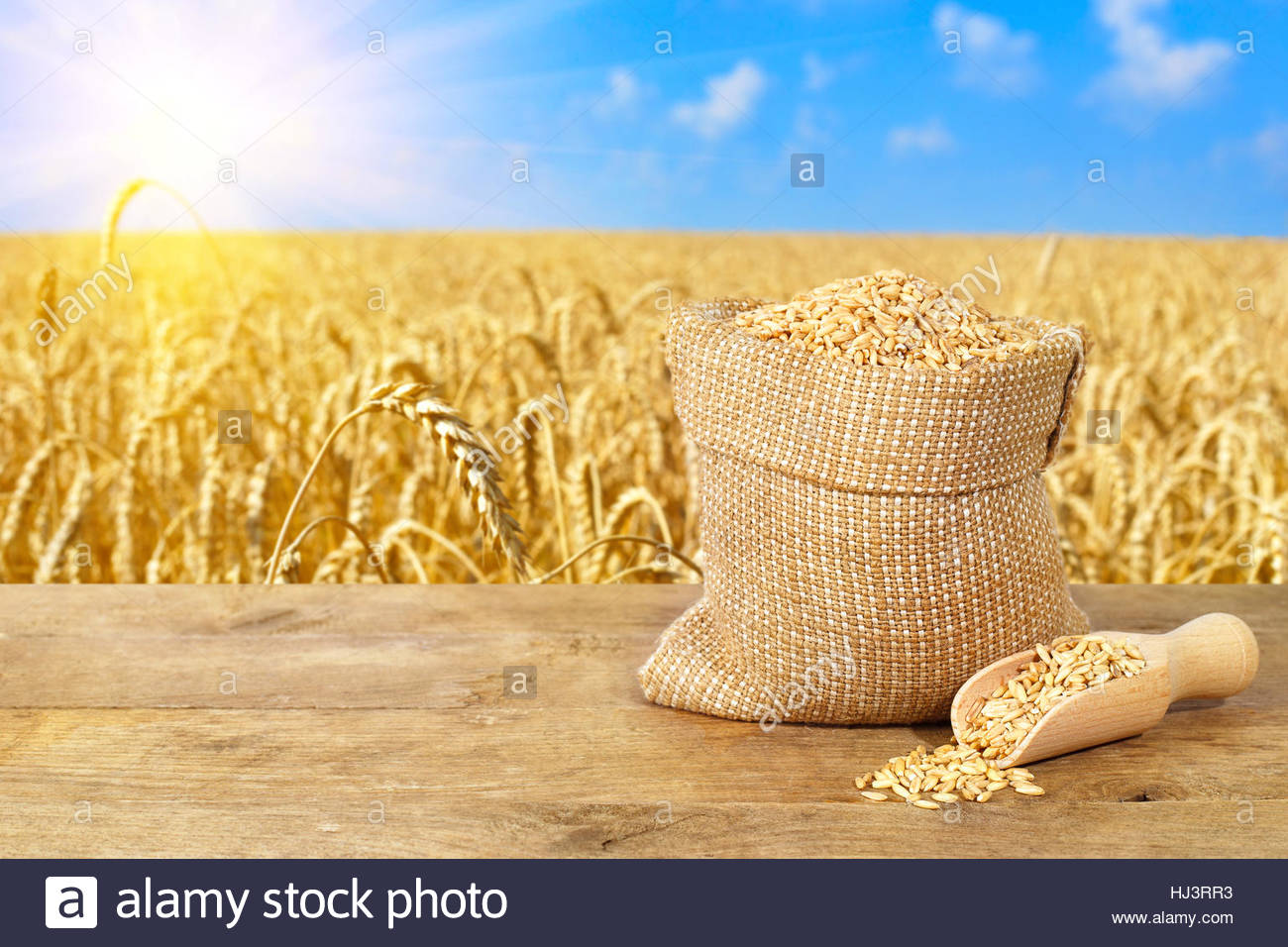 [26+] Grains Backgrounds | WallpaperSafari