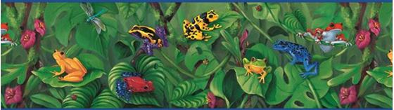 🔥 Free download by Book Boys Rock Phillip Green Rainforest Frogs ...