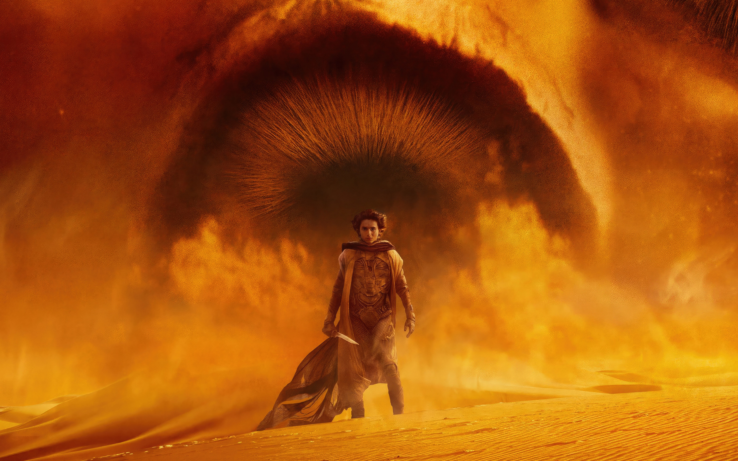 🔥 Free Download Dune Movie 4k Wallpaper Resolution Hd by @denisegriffin ...