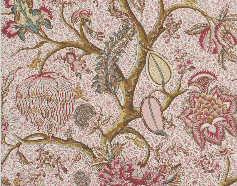 🔥 [50+] Braquenie Wallpapers | WallpaperSafari